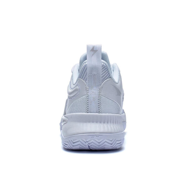 LiNing Way of Wade SOF – Son of Flash – Zaire Professional Basketball ...